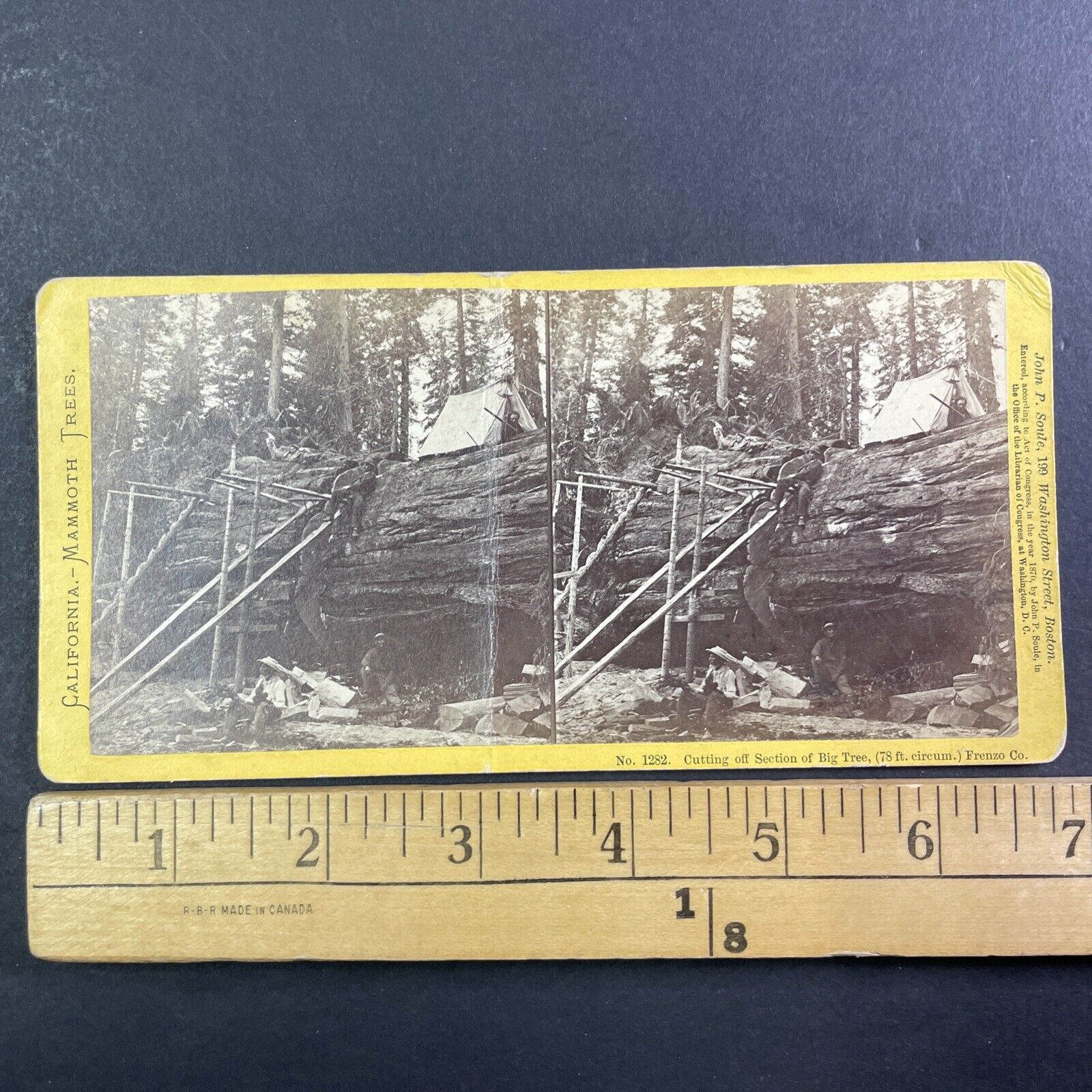 Cutting Giant Sequoia Tree Stereoview Fresno CA J.P. Soule Antique c18 ...