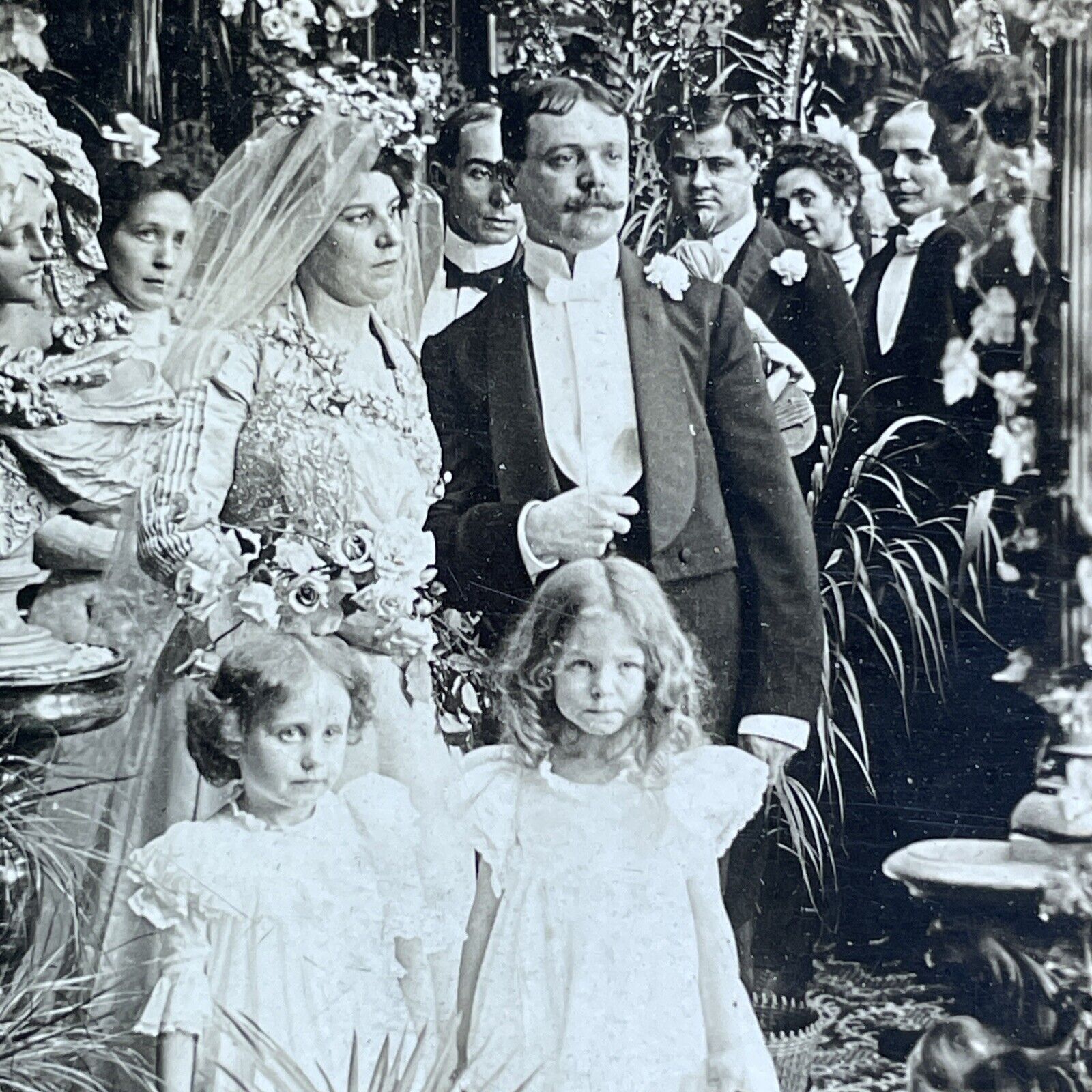 Antique 1901 Formal Wedding Attire In The 1900s Stereoview Photo Card ...